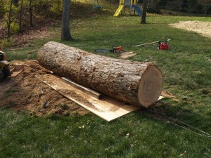 Skidding Logs Without The Ruts | WunderWoods