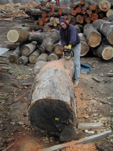 Walnut And Cherry Are Great Exterior Woods | WunderWoods